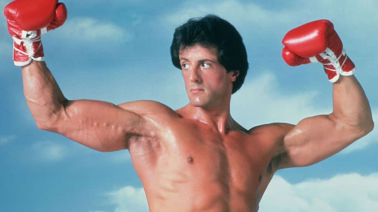 Les 15 meilleurs films sur la boxe à voir absolument en 2026